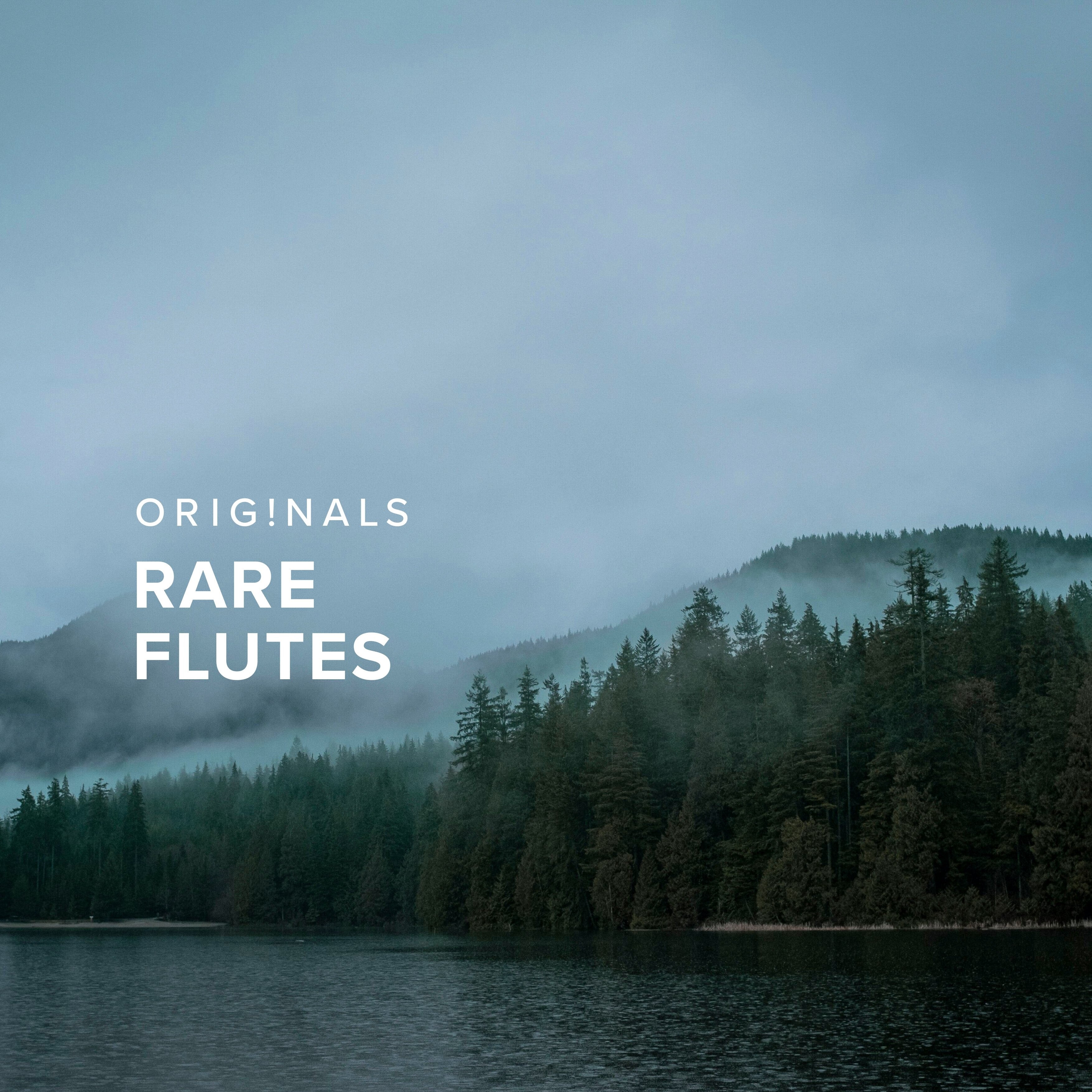 SPITFIRE Originals Rare Flutes – DiAudio